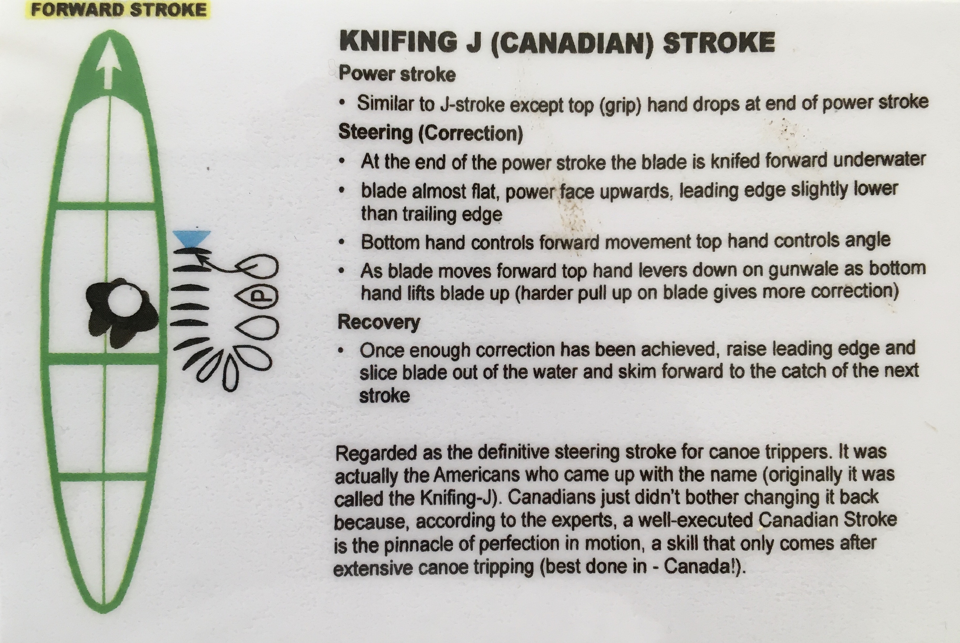 Canoe Paddle Strokes – Canoe Oxford