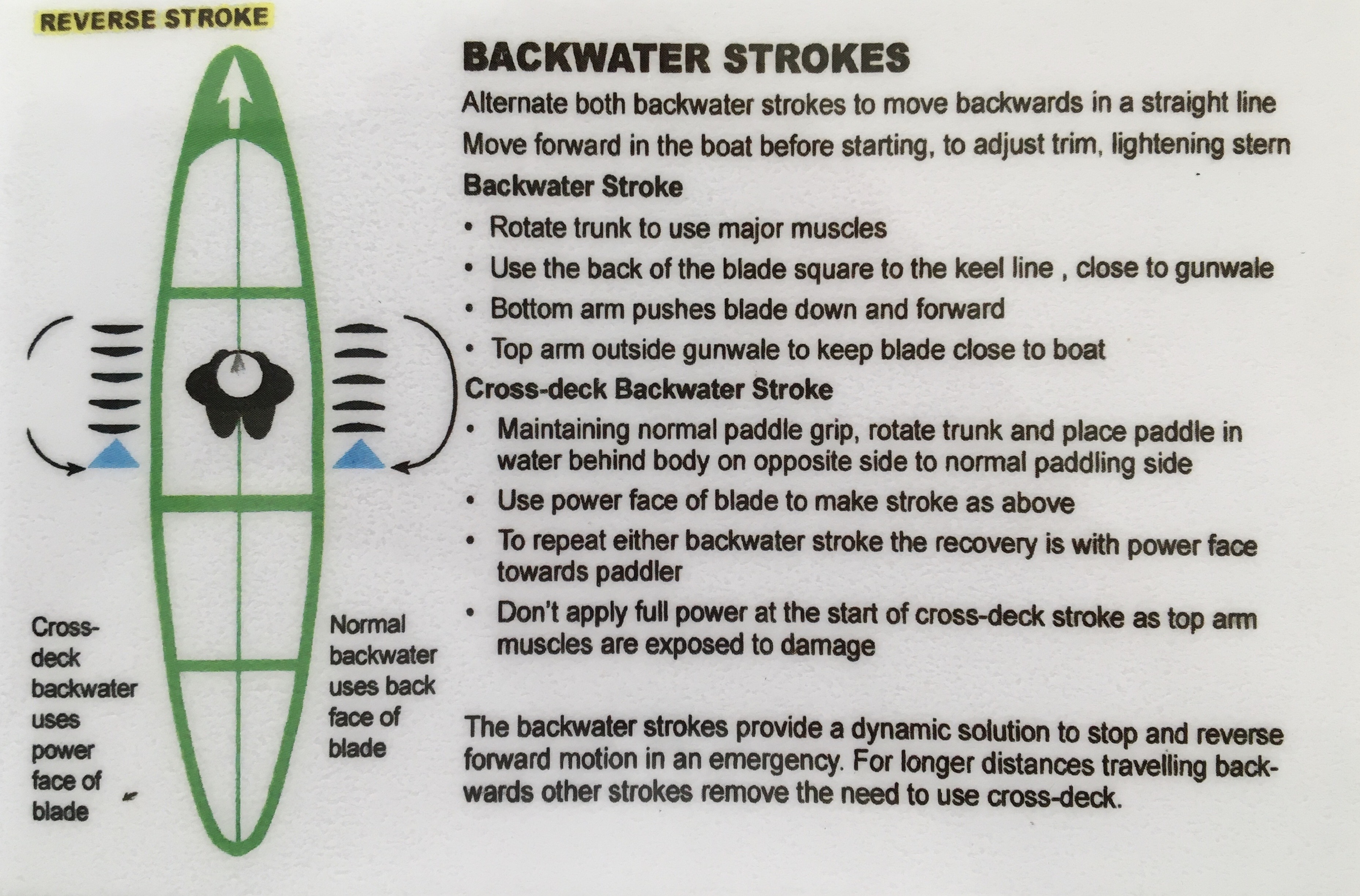 Canoe Paddle Strokes – Canoe Oxford